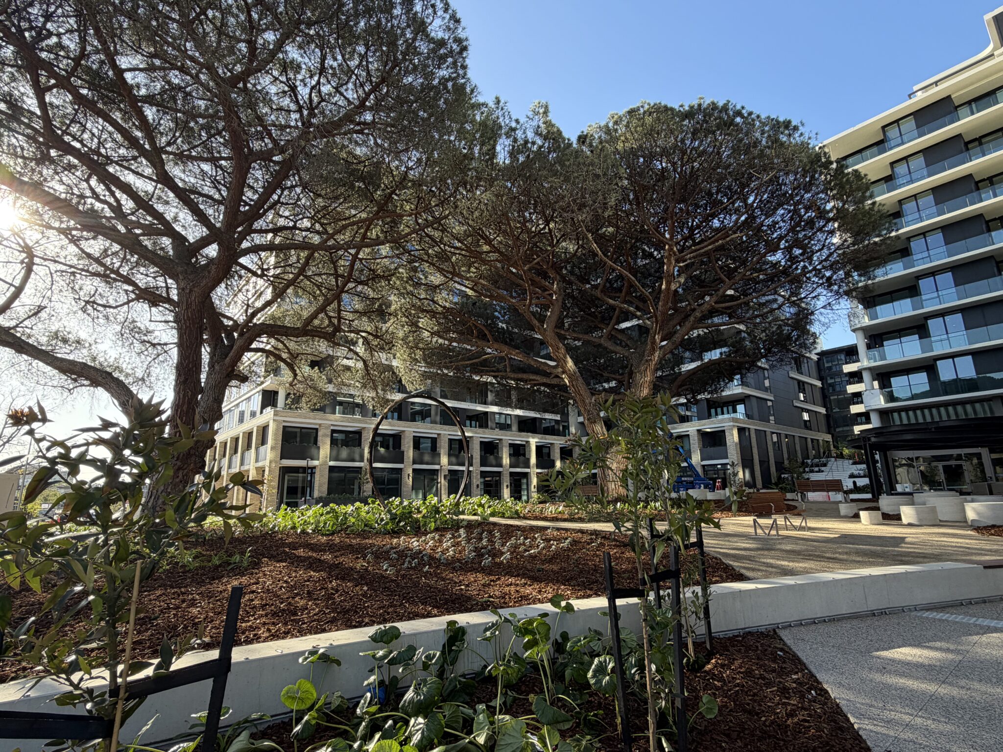 Why the past is being embraced in the redevelopment of Moonee Valley ...